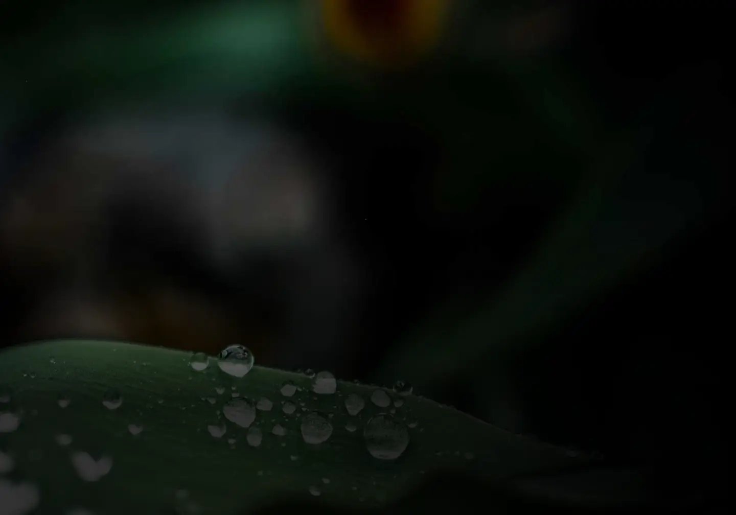 Specialty Packaging Solutions | Nosco